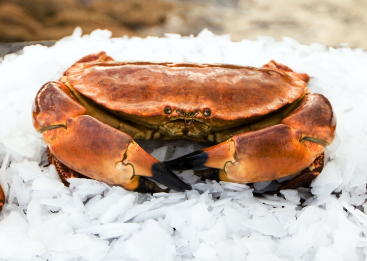Crab Products - Rockabill Seafood Ltd