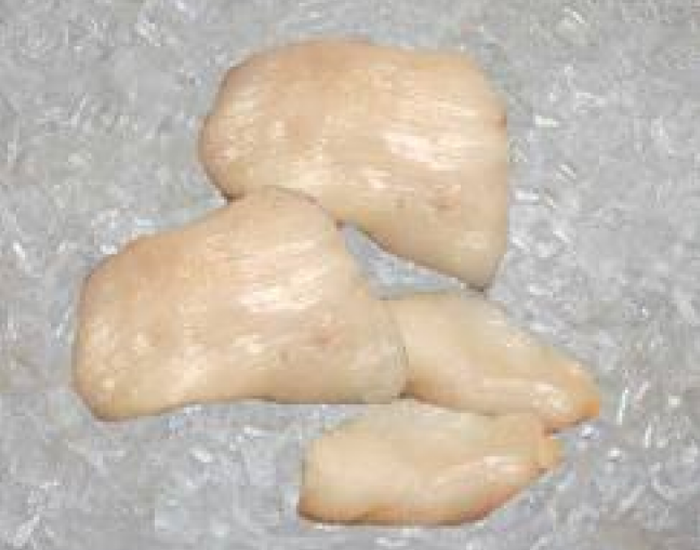 Off cuts of fish - Rockabill Seafood Ltd