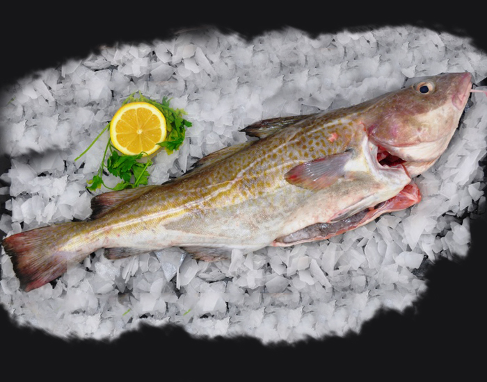 Cod - Rockabill Seafood Ltd